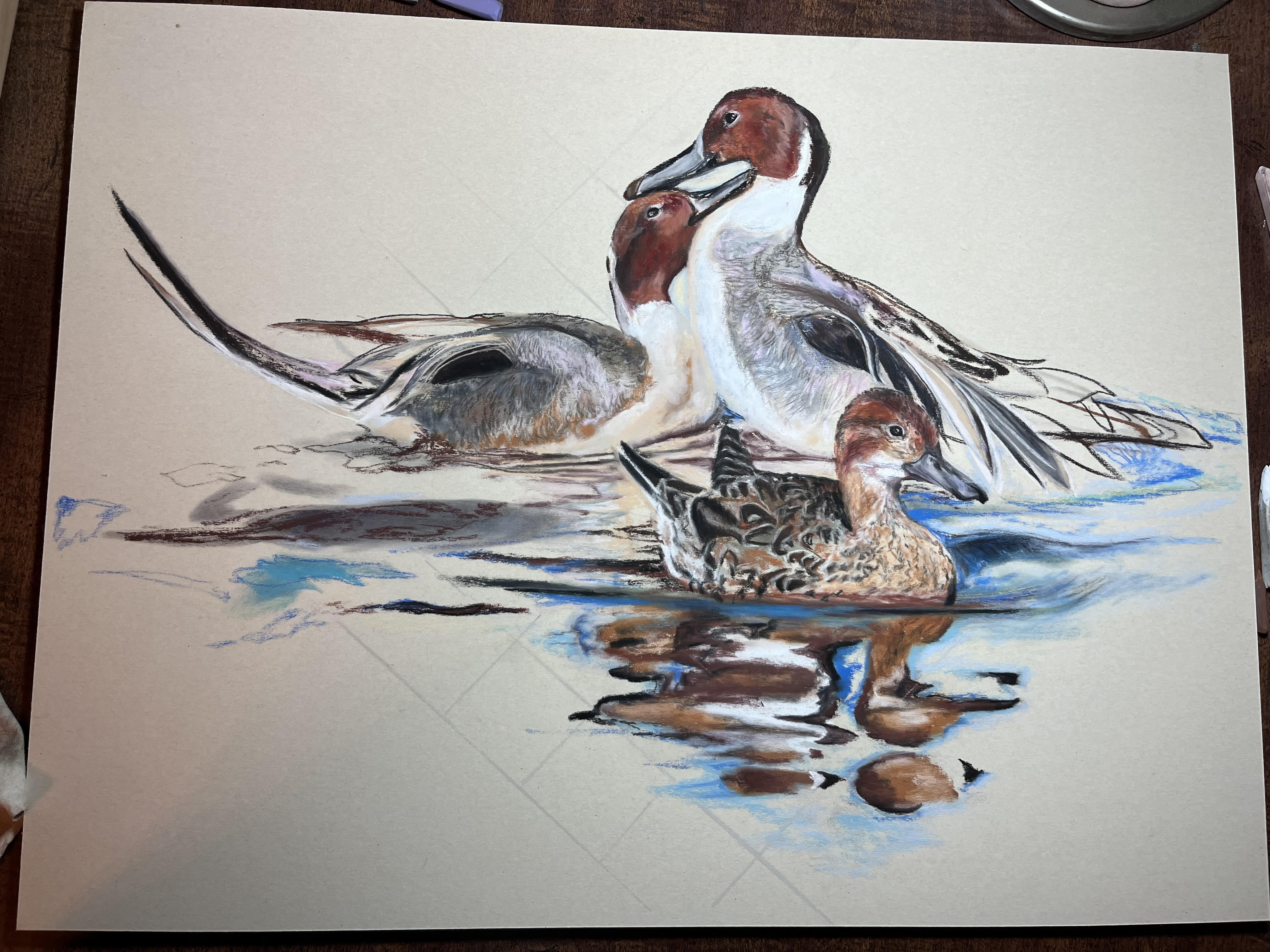 Artwork – Paradise Pond